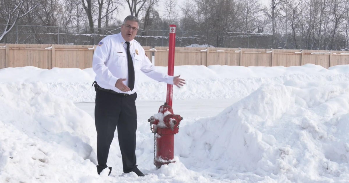 Metro cities depend on residents to shovel out fire hydrants buried in ...