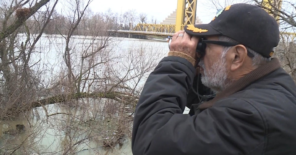 Sacramento Neighbors work to rescue real-life river cats from flood ...