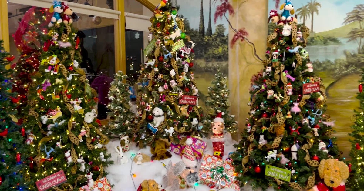 Pembroke Pines Community Center wins Humana's Holiday challenge - CBS Miami