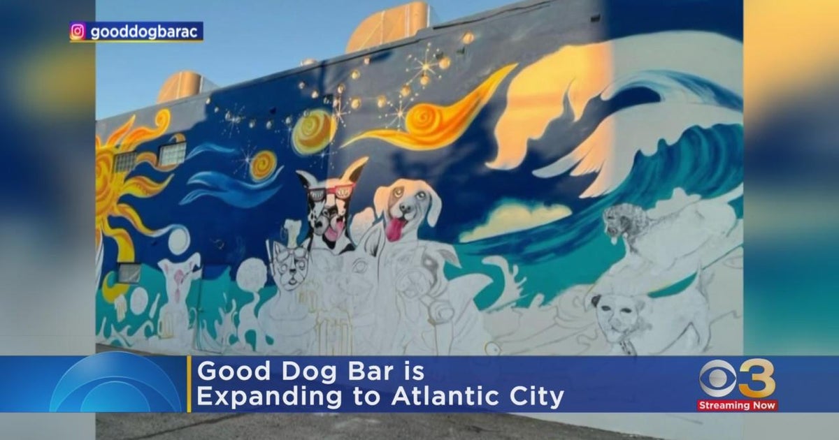 Philadelphia's Good Dog bar to open a new location down the shore - CBS ...