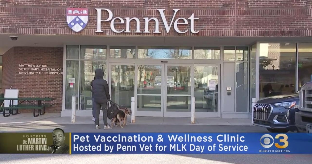 Pet vaccination and wellness clinic at Penn Vet - CBS Philadelphia