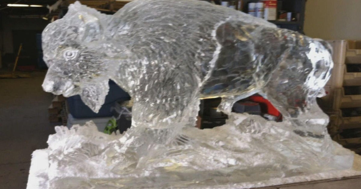 Brookline sculptor turning ice into art - CBS Boston