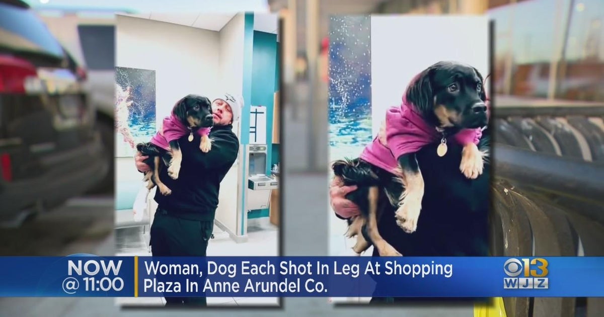 Woman recovering, dog needs surgery after both were shot in Anne ...