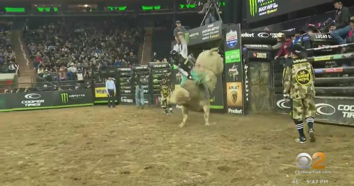 Professional bull riding growing as a spectator sport across U.S. - CBS ...