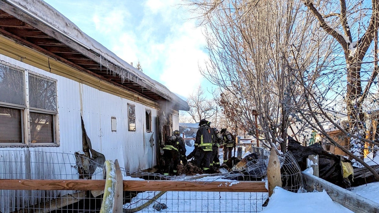 25 cats escape burning home, left homeless in Routt County - CBS Colorado