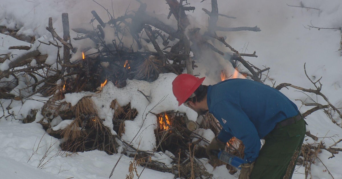 Firefighters taking advantage of recent snowstorms by slash pile ...