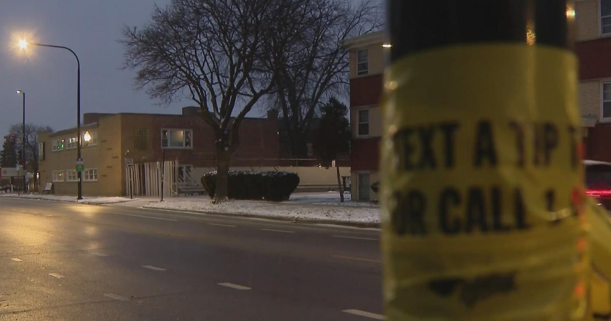 Friend remembers 93-year-old woman killed in West Side hit-and-run ...