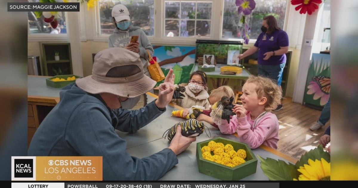 Maggie Jackson, lifestyle expert and resident mom, gives Spring Break tips - CBS Los Angeles