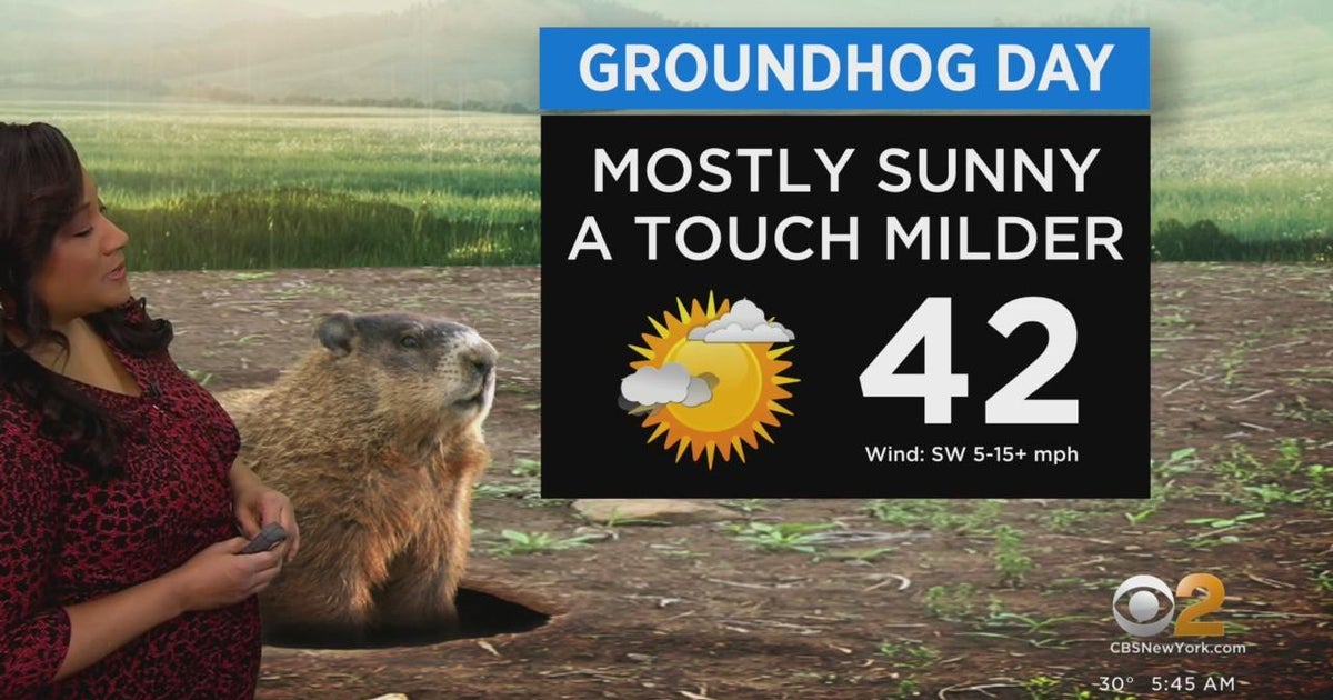First Alert Weather: Fairly mild for Groundhog Day - CBS New York