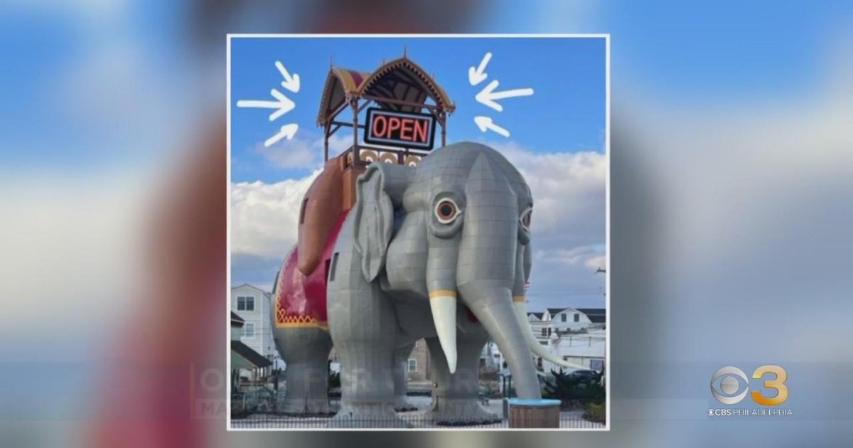 Lucy the Elephant reopens for business, tours - CBS Philadelphia