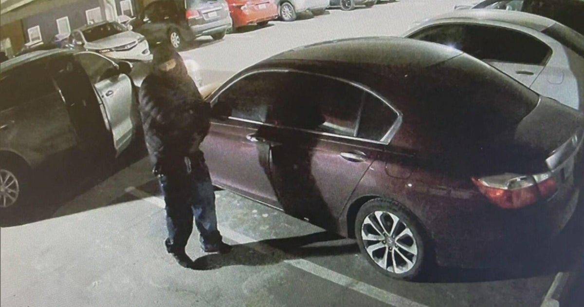 At least 20 vehicles targeted by thieves in Lone Tree complexes - CBS ...