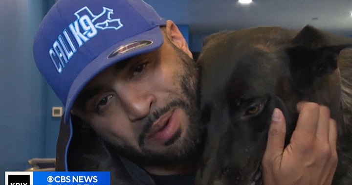 Celebrity dog trainer Jas Leverette takes pride in his passion and his ...