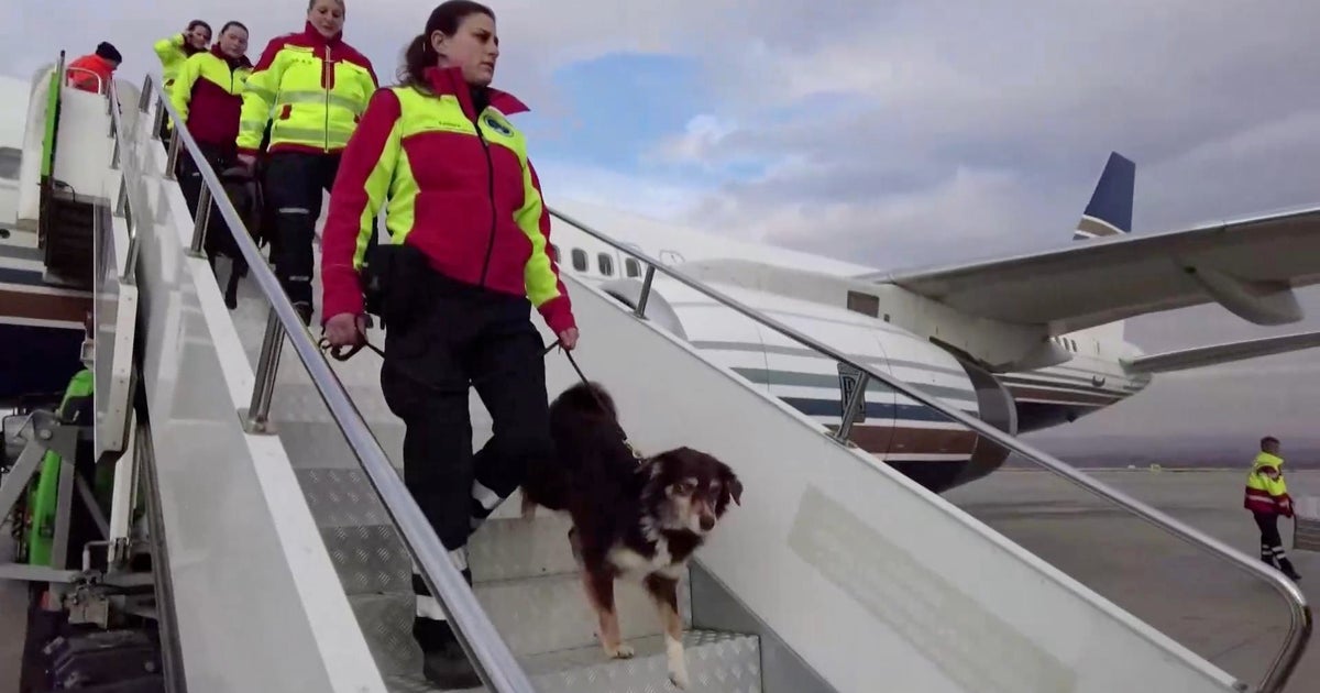German rescue dogs arrive in Turkey to help search for survivors - CBS News