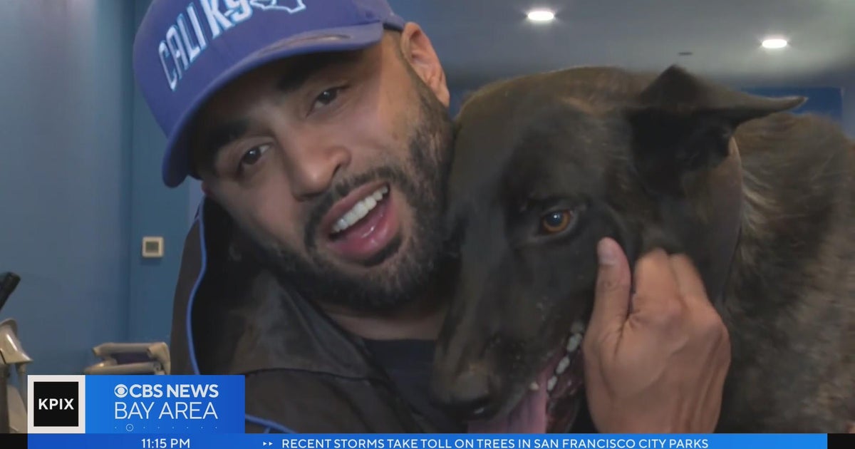 Jas Leverette works to improve the lives of dogs and their owners - CBS ...