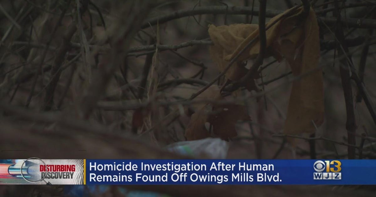 Human remains found in Owings Mills, investigation underway - CBS Baltimore