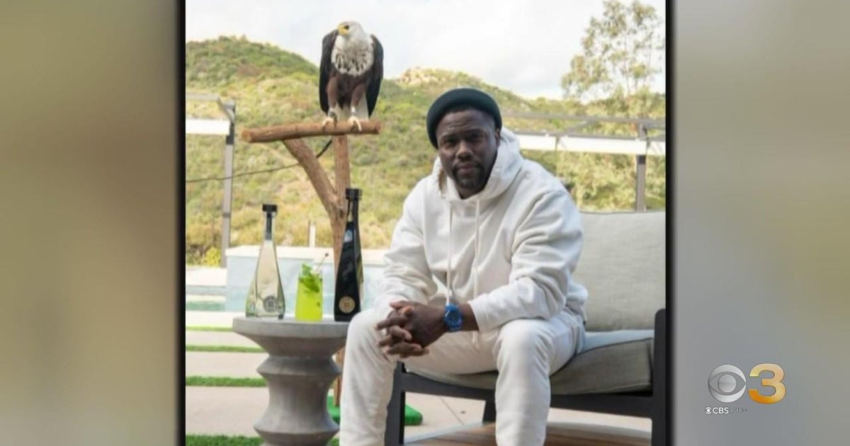 Kevin Hart shows Eagle claiming he bought it - CBS Philadelphia