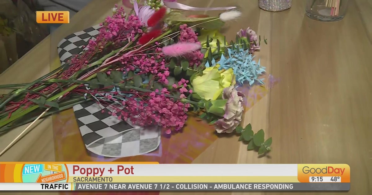 NITN: Poppy and Pot - Good Day Sacramento