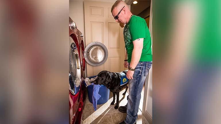 8 service dogs trained in Irving head to new homes after graduation ...