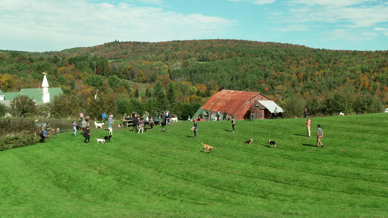 A dog lover's pilgrimage to Dog Mountain - CBS News