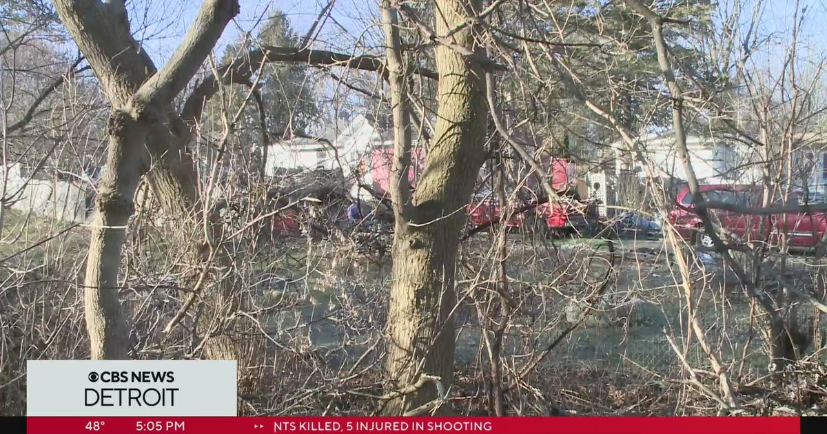 Neighbors say alleged Michigan State gunman target practiced in ...