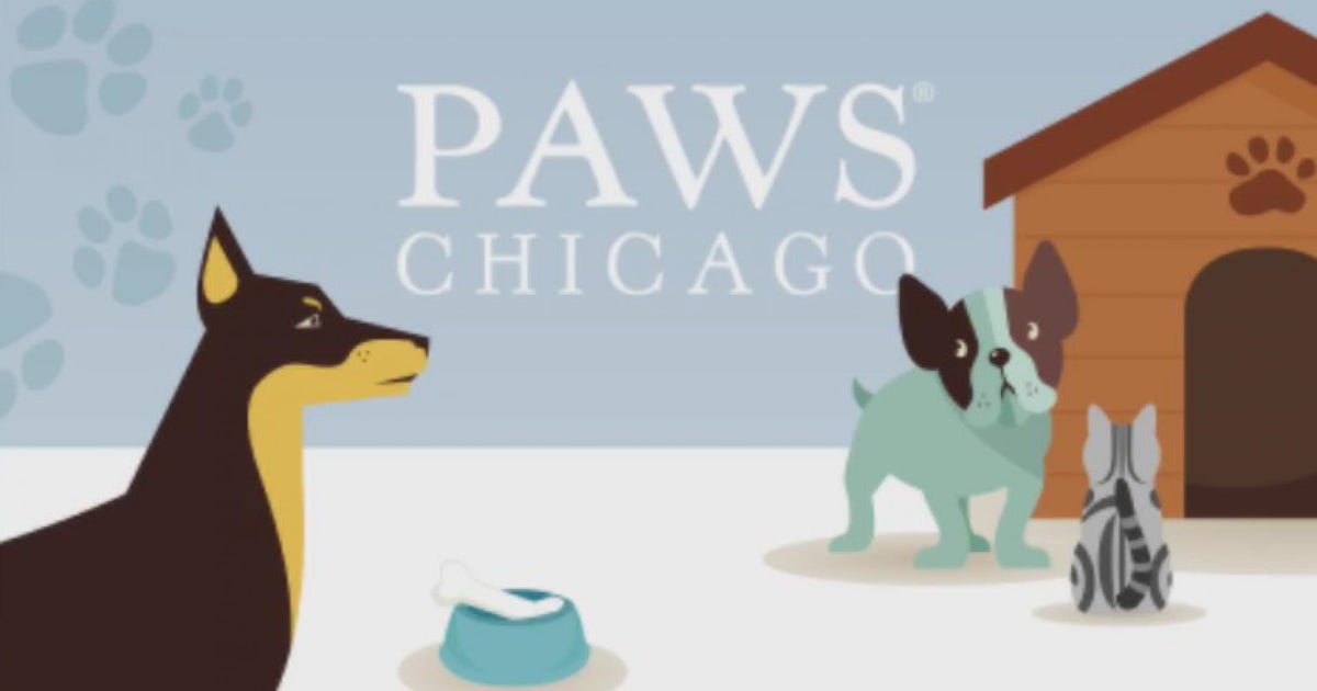 Cook County Sheriff's Office partnering with PAWS Chicago - CBS Chicago