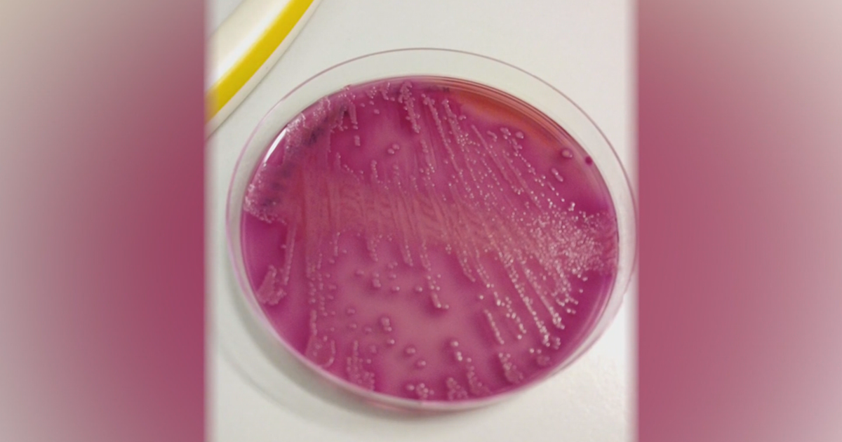 New research reveals what shoes might track inside your home - CBS ...