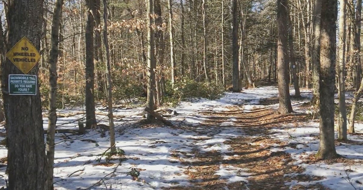 It's official: Minnesota just wrapped the warmest meteorological winter ...