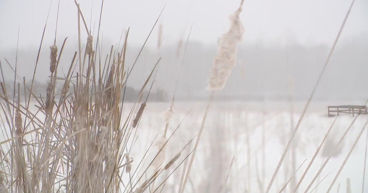 There’s a lot of beauty to soak up in the snowy Minnesota landscape ...