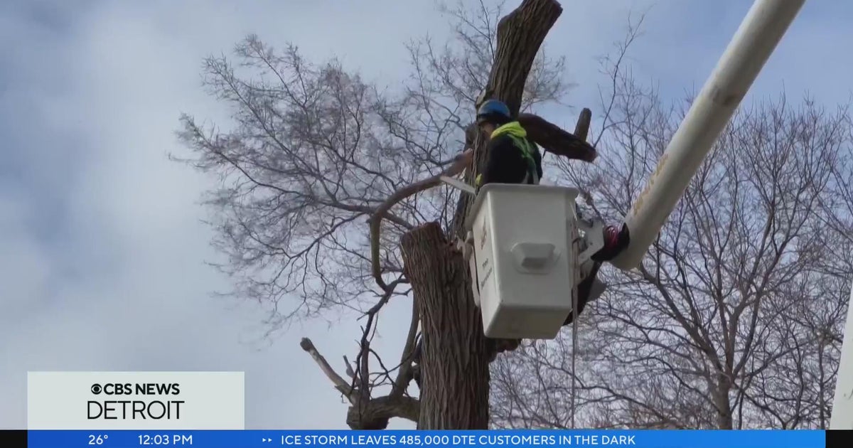 Storm cleanup continues in Dearborn Heights - CBS Detroit