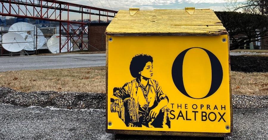 American Visionary Art Museum puts a spotlight on Baltimore's saltbox ...