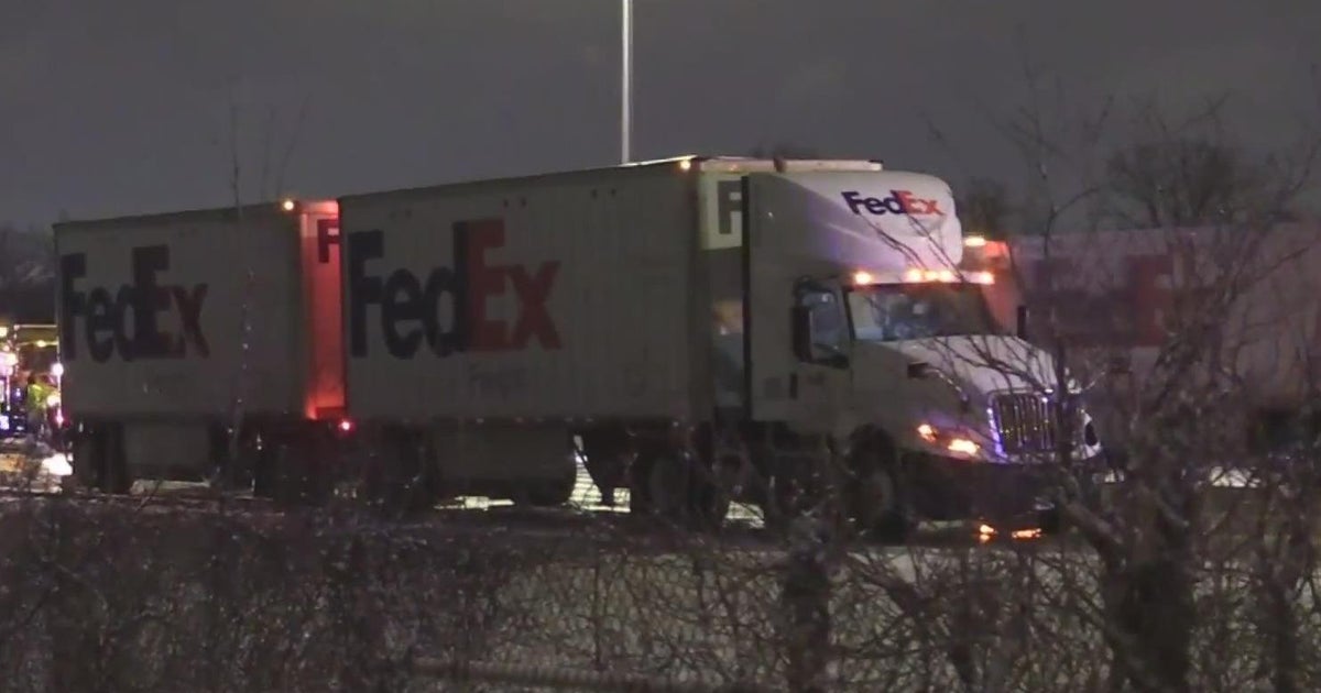 Woman killed in Tri-State Tollway hit and run identified as Colette ...