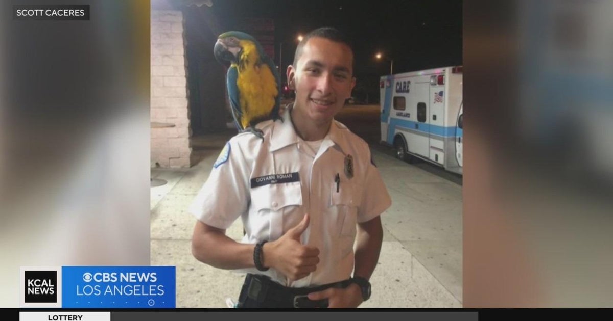 Friends and family hoping for return of local veteran volunteering as ...