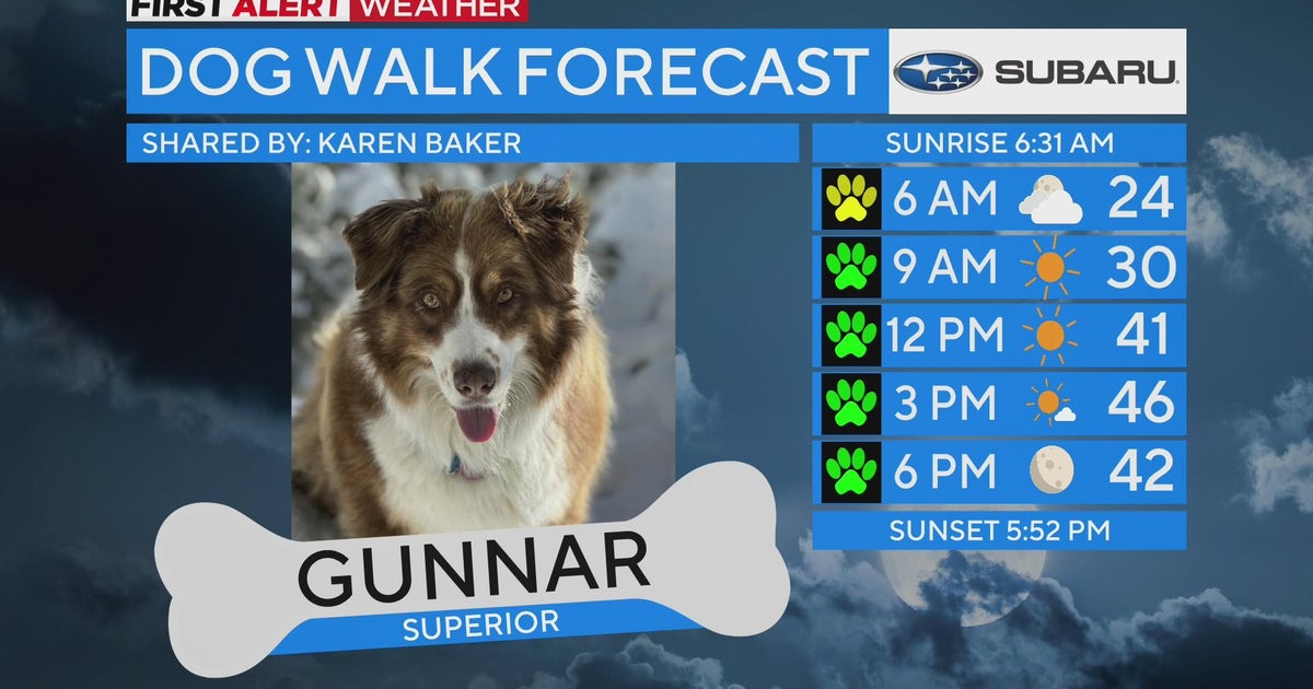 Gunnar joins Dog Walk Forecast - CBS Colorado