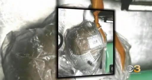 Surveillance video shows FBI arresting suspect that brought explosives ...