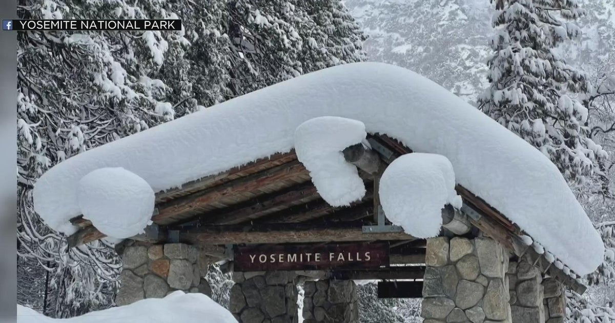 Mammoth Mountain sees biggest snowfall in 10 years - CBS Sacramento