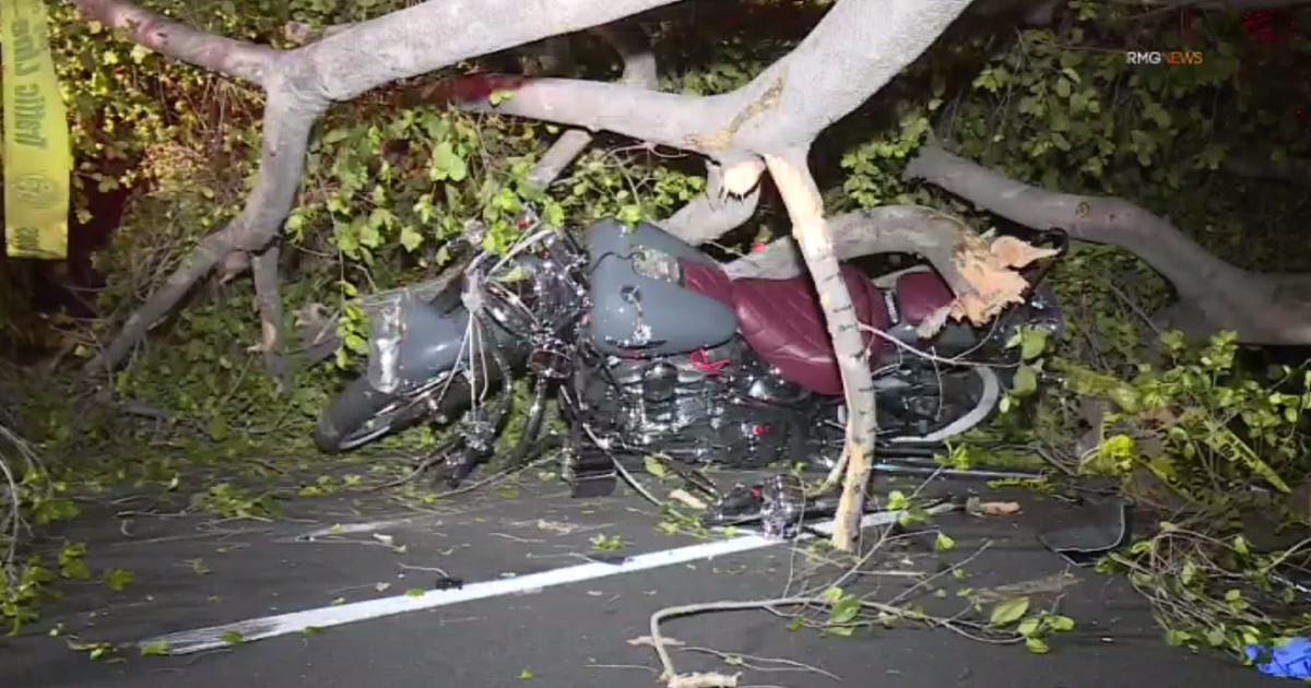 Woman crashes motorcycle into fallen Lincoln Heights tree - CBS Los Angeles