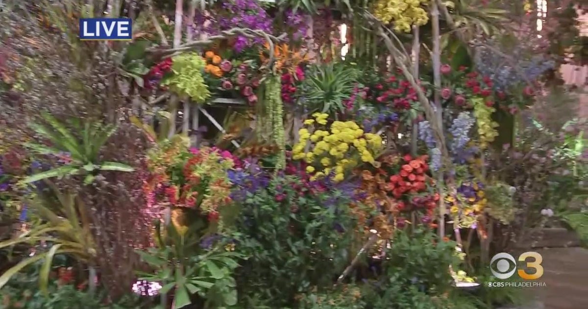 Philadelphia Flower Show invites visitors to experience the Garden ...
