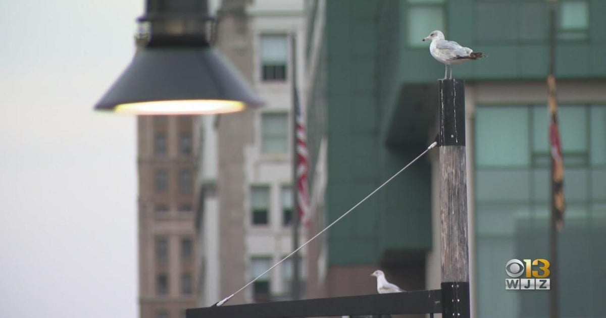 Parents say a threat at a Baltimore high school stemmed from a fight at ...