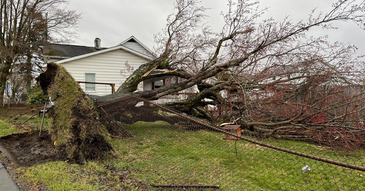 Residents continue cleanup efforts across Fayette County after heavy winds, rain damage property ...