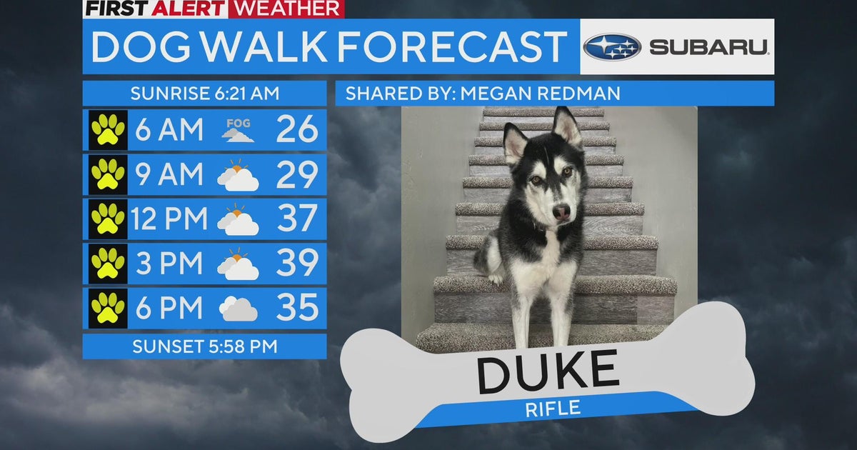 Duke joins Dog Walk Forecast - CBS Colorado