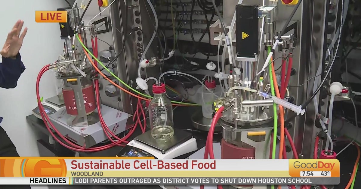 Cell-Based Milk - Good Day Sacramento