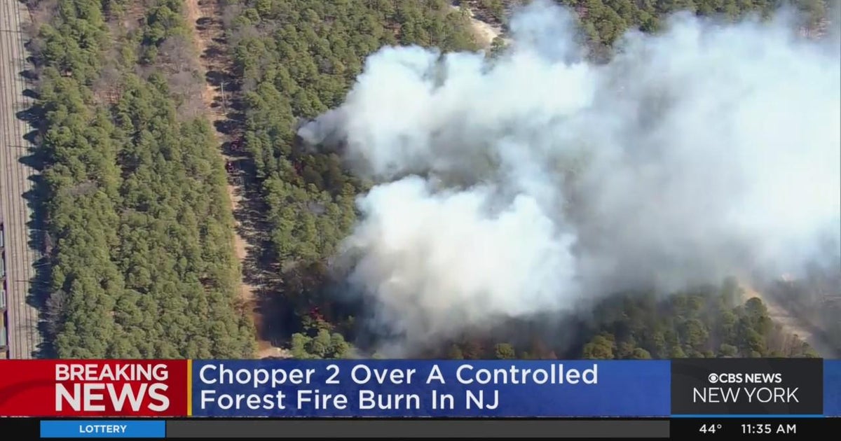 Controlled forest fire burn in Old Bridge, NJ - CBS New York