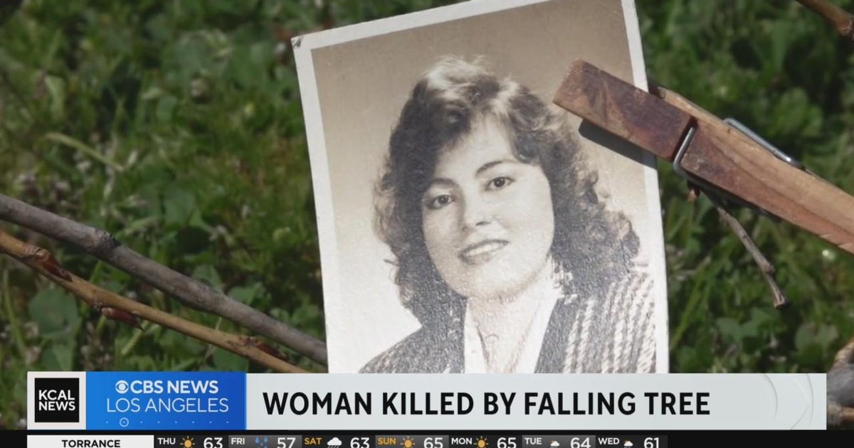 Beloved teacher remembered after deadly fallen tree incident in Anaheim ...