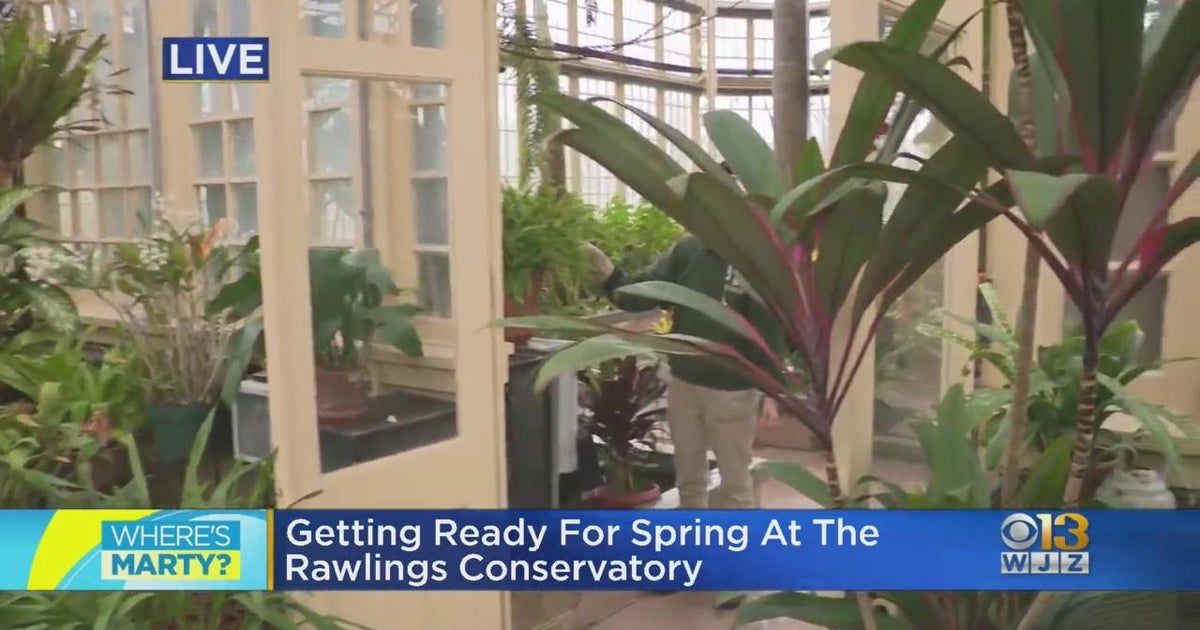 Where's Alex? Getting ready for spring at the Rawlings Conservatory ...