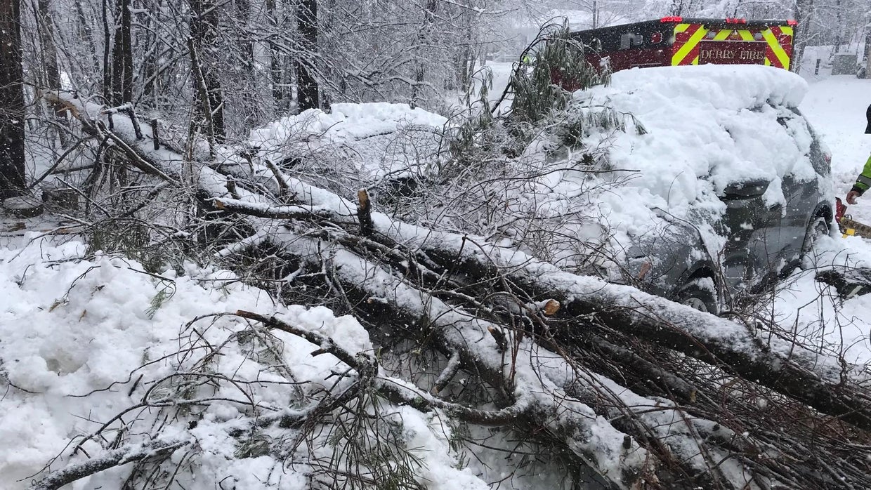 Derry, NH firefighters rush to free young girl trapped by falling tree ...