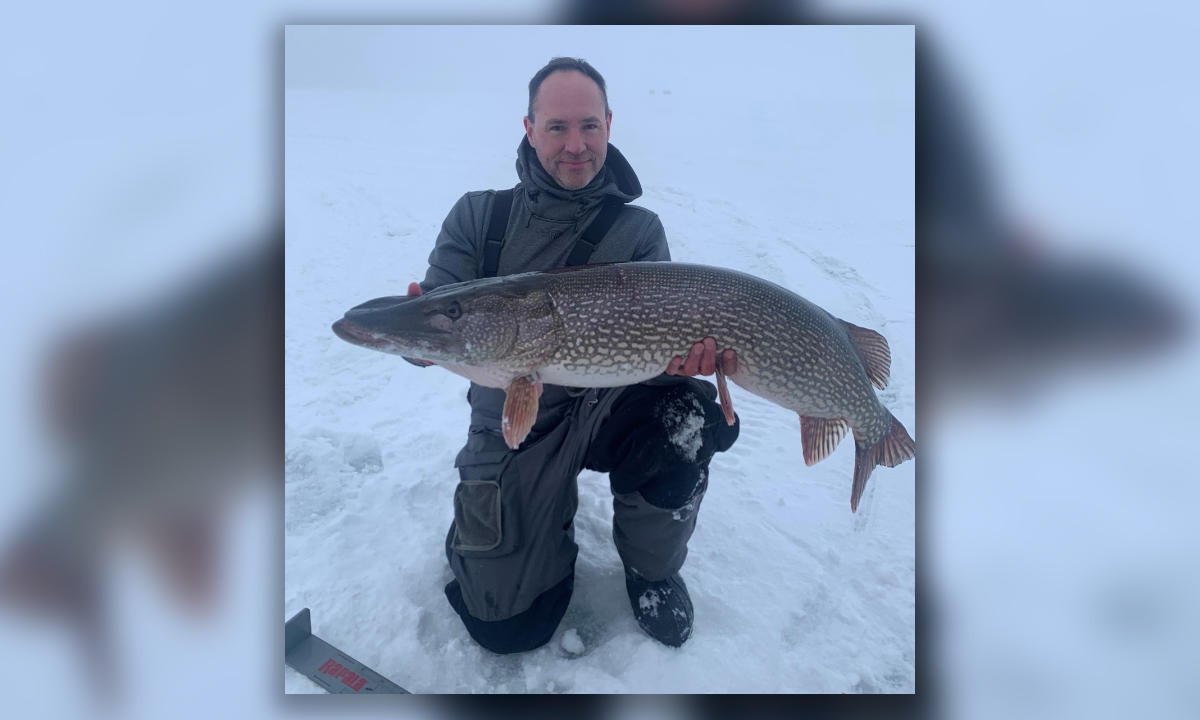 Angler battles hard to catch massive northern pike, tying Minnesota ...