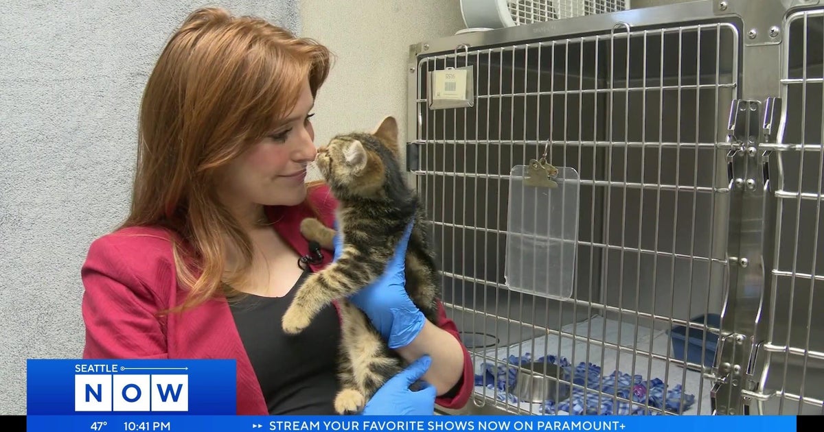 Honoring Women's History Month with CW Seattle and CW Atlanta's multi ...