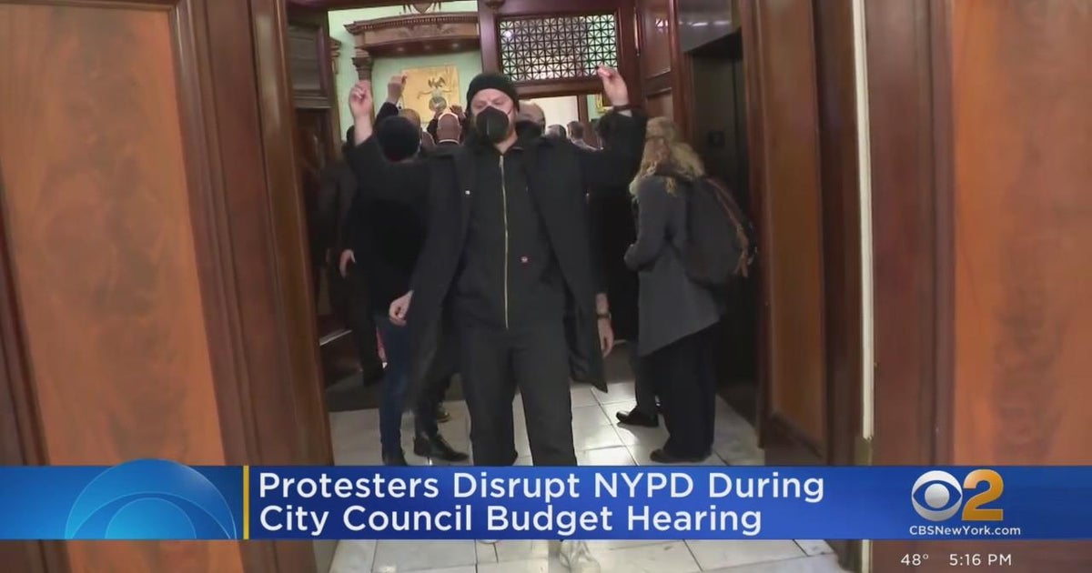Protesters interrupt City Council hearing featuring top NYPD officials ...