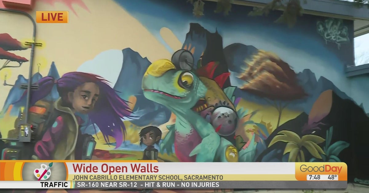 Wide Open Walls - Good Day Sacramento