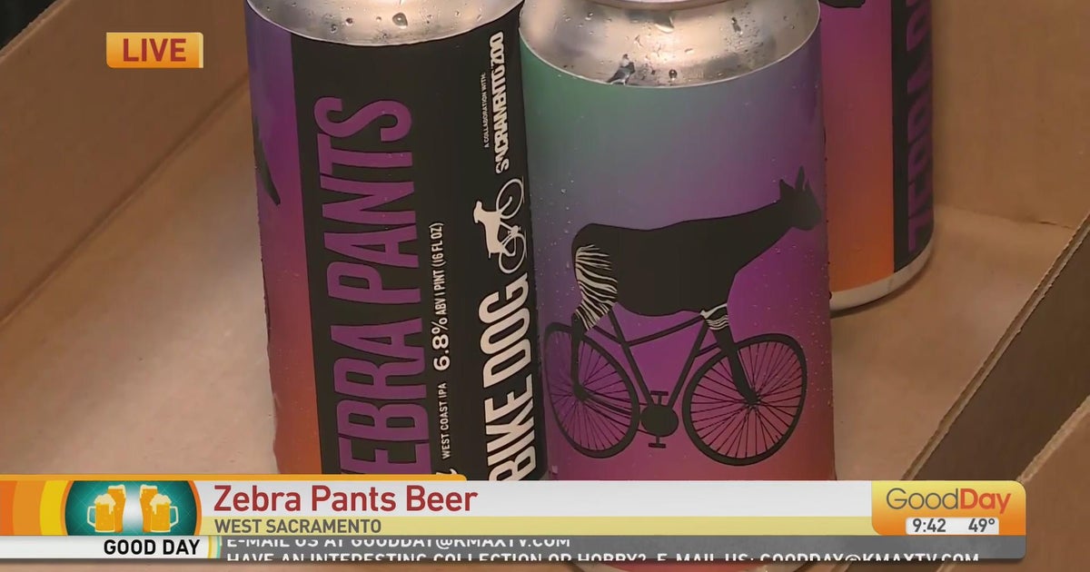 Zebra Pants Beer - Good Day Sacramento
